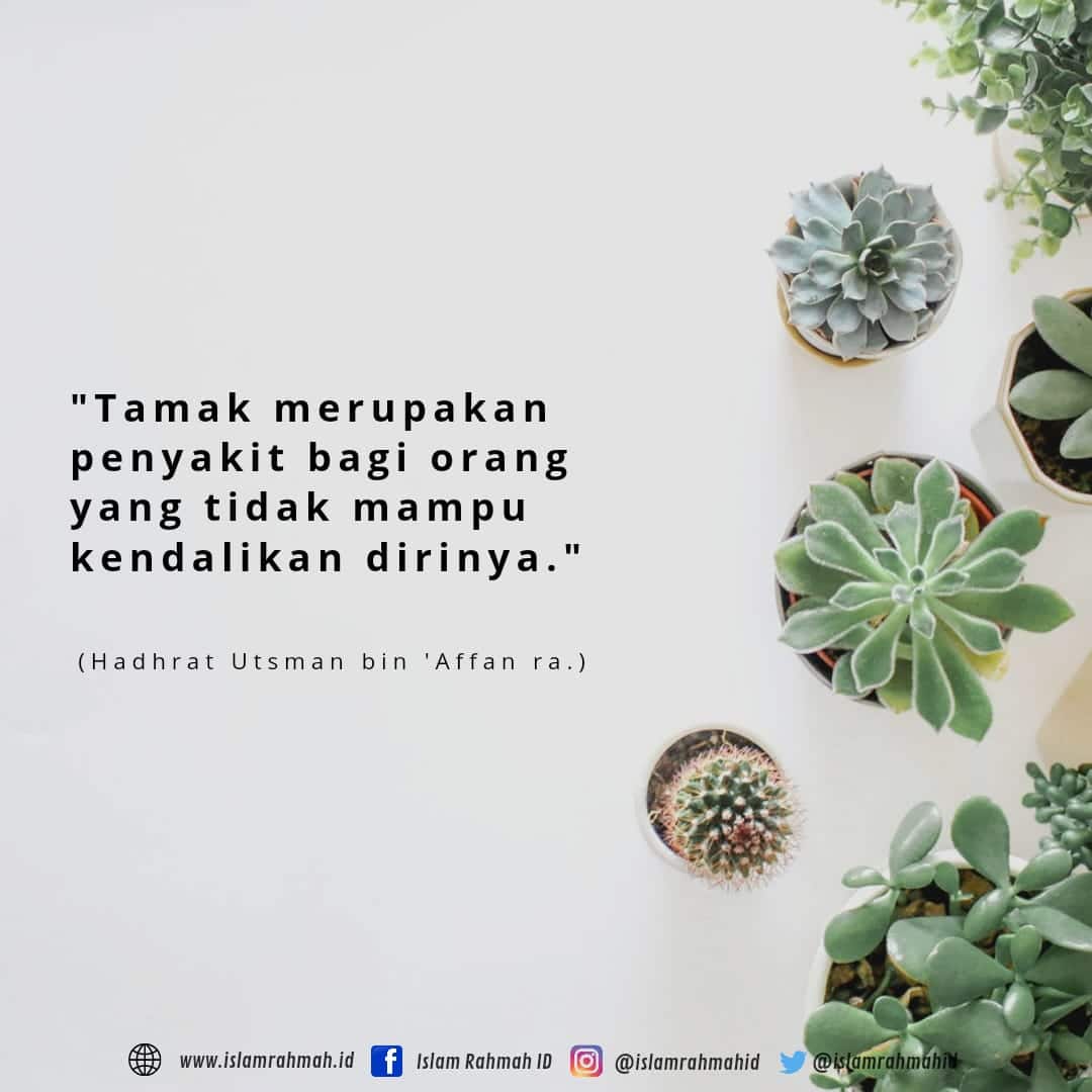 Kerugian Memiliki Sifat Tamak - Islam Rahmah